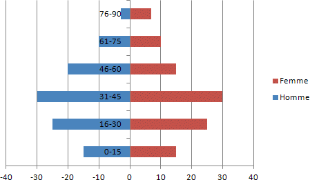 Excel 2007/2010/2013 - Graphique Pyramide d'âges